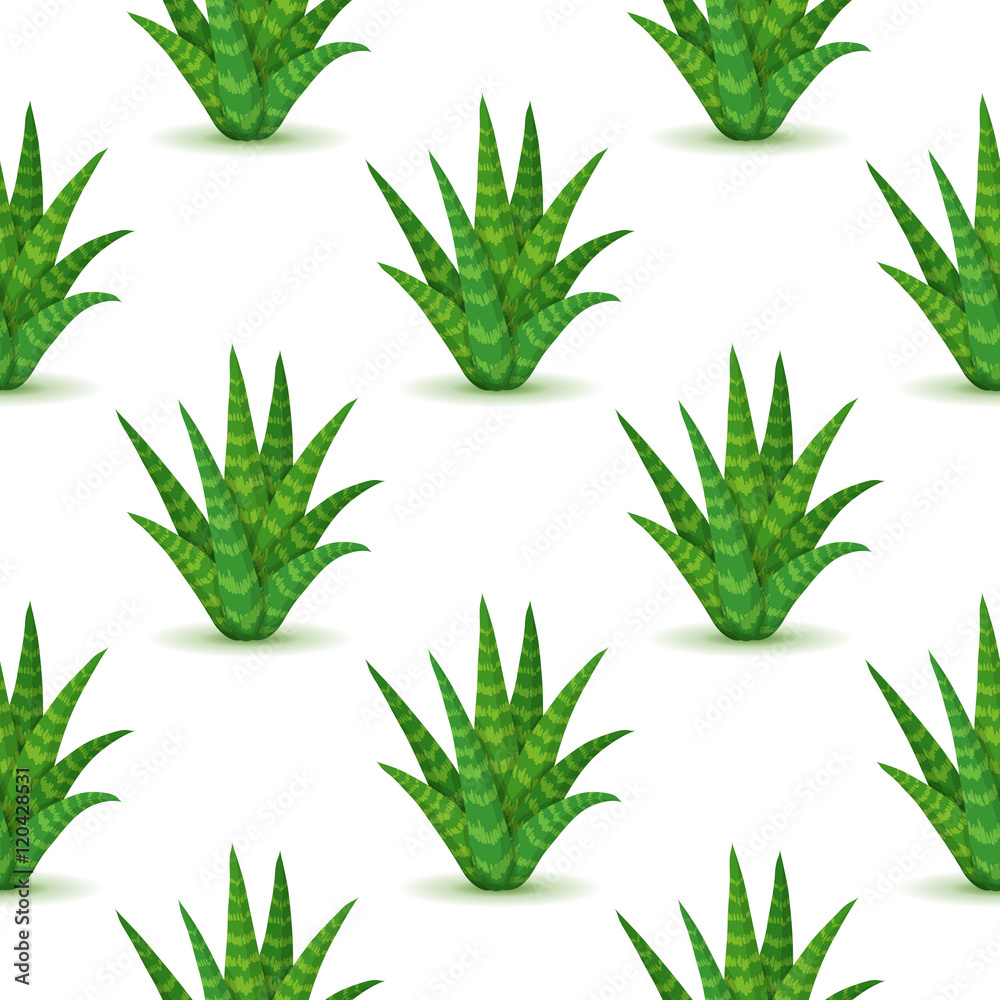 Aloe vera - seamless pattern with desert plants. Nature floral ...