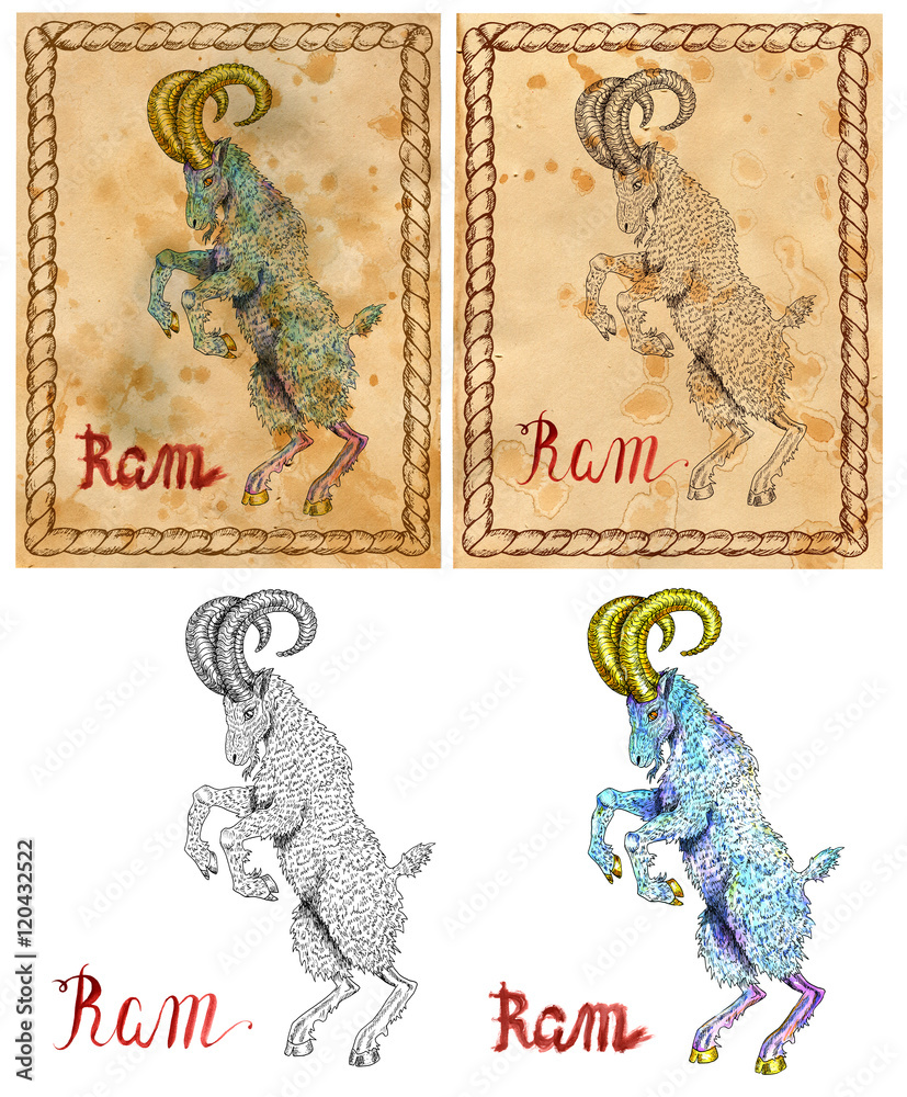 Vintage card with illustration of graphic zodiac animal symbol - ram ...