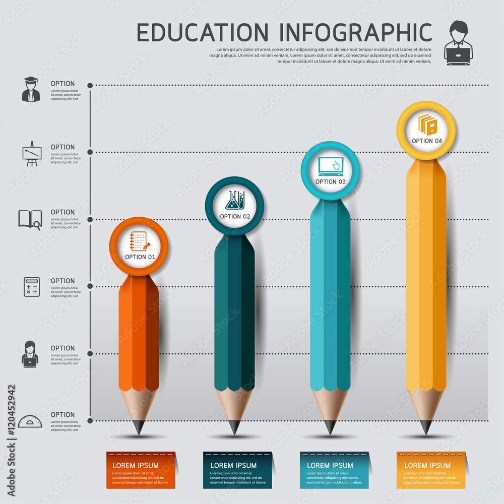 Education pencil Infographics graph and diagram option Stock Vector ...
