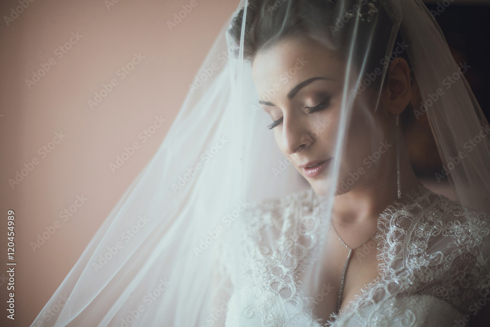 charming and beautiful bride before the wedding ceremony Stock Photo ...