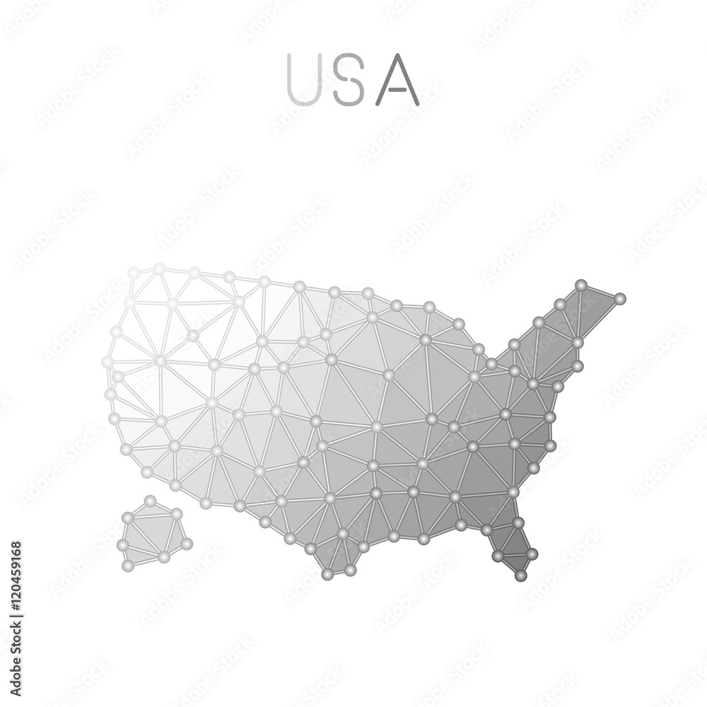 United States polygonal vector map. Molecular structure country map ...