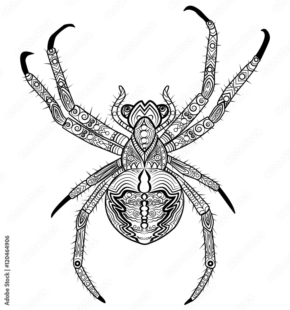 Decorative spider with patterns Stock Vector | Adobe Stock