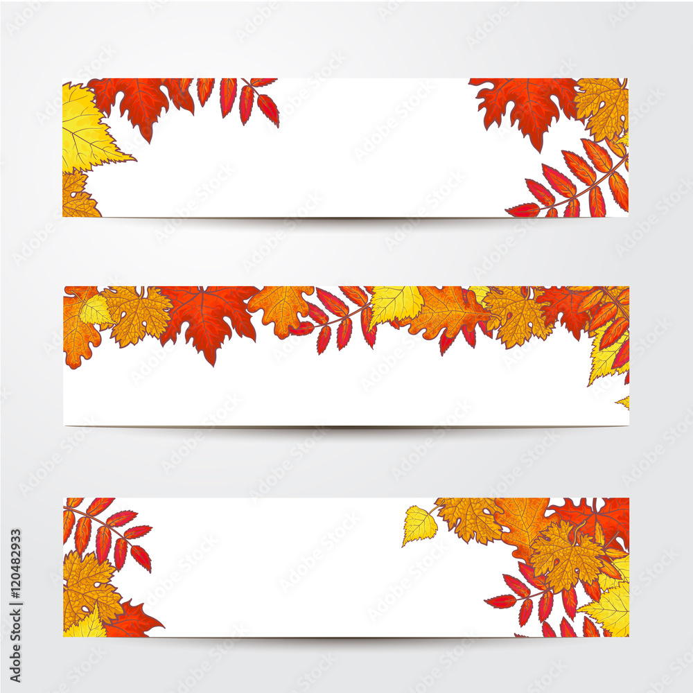 Set of banner templates with fall leaves, sketch style vector ...