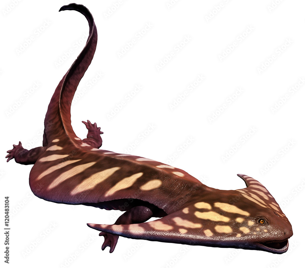 Diplocaulus from the Permian era 3D illustration Stock Illustration ...