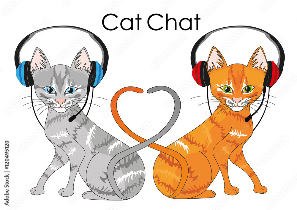 cat chat Stock Vector | Adobe Stock
