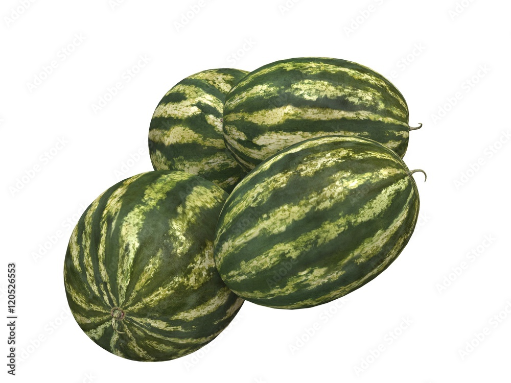 Four watermelons - isolated on white background Stock Illustration ...