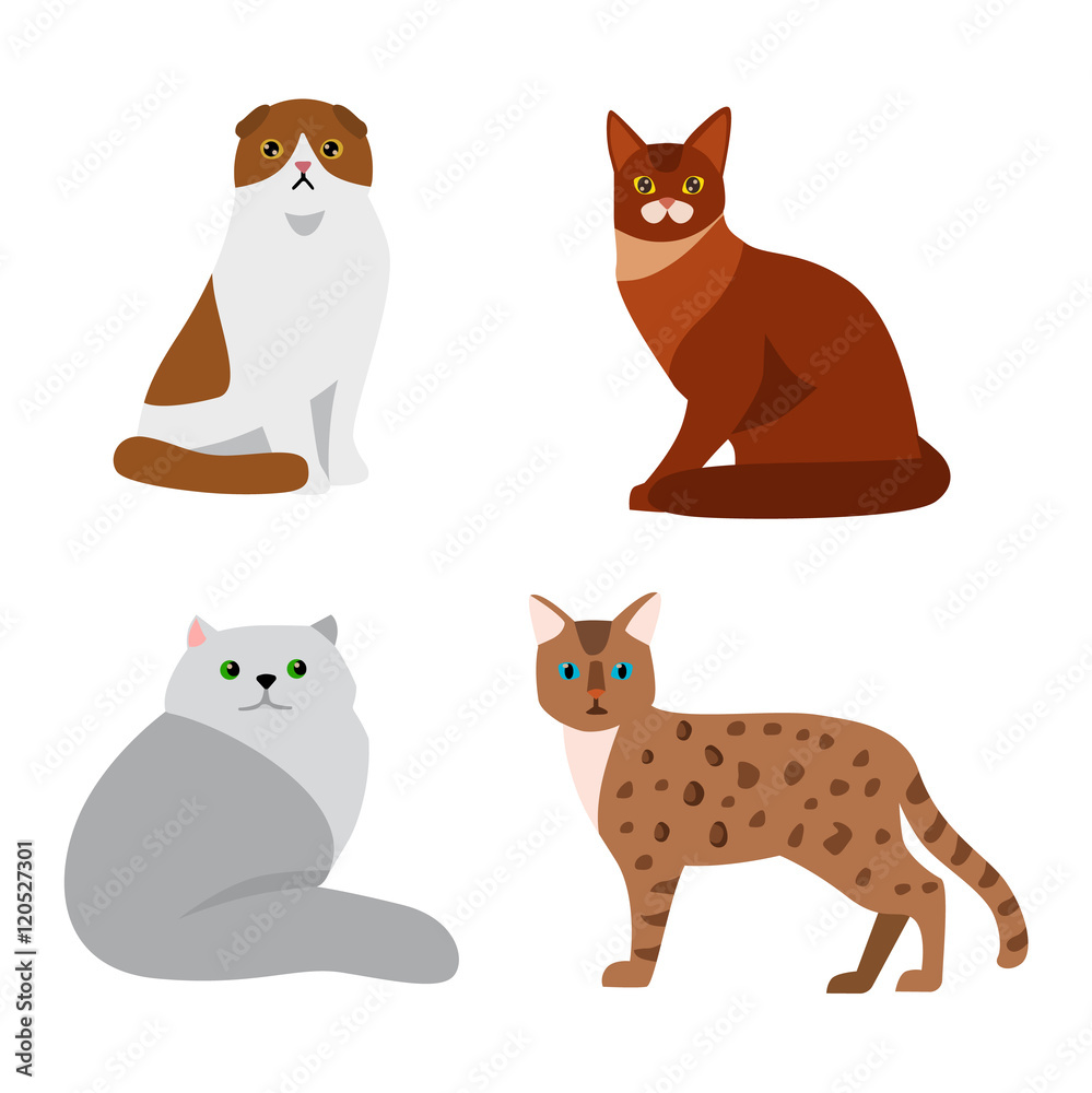 Cat breeds cute pet animal set vector illustration. Cat breed animal ...