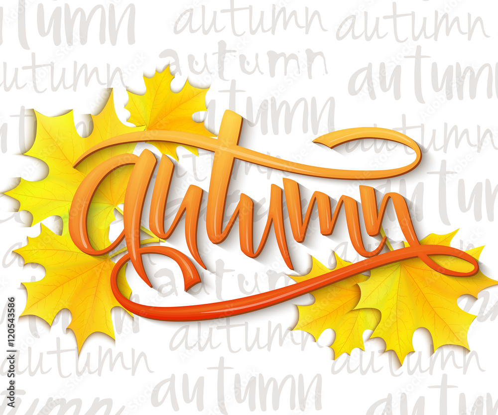vector illustration of hand lettering word - autumn - with realistic ...