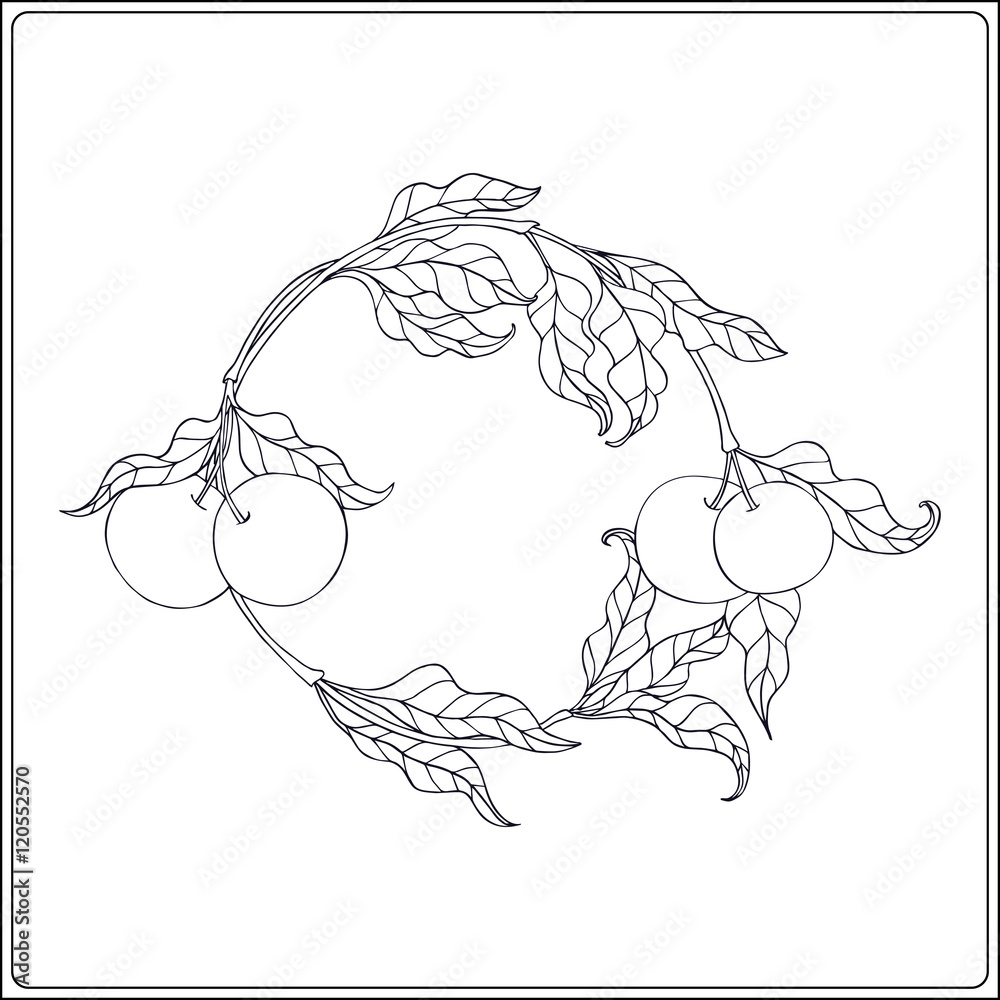Vintage decorative apple tree. Outline drawing/ Vector illustration ...