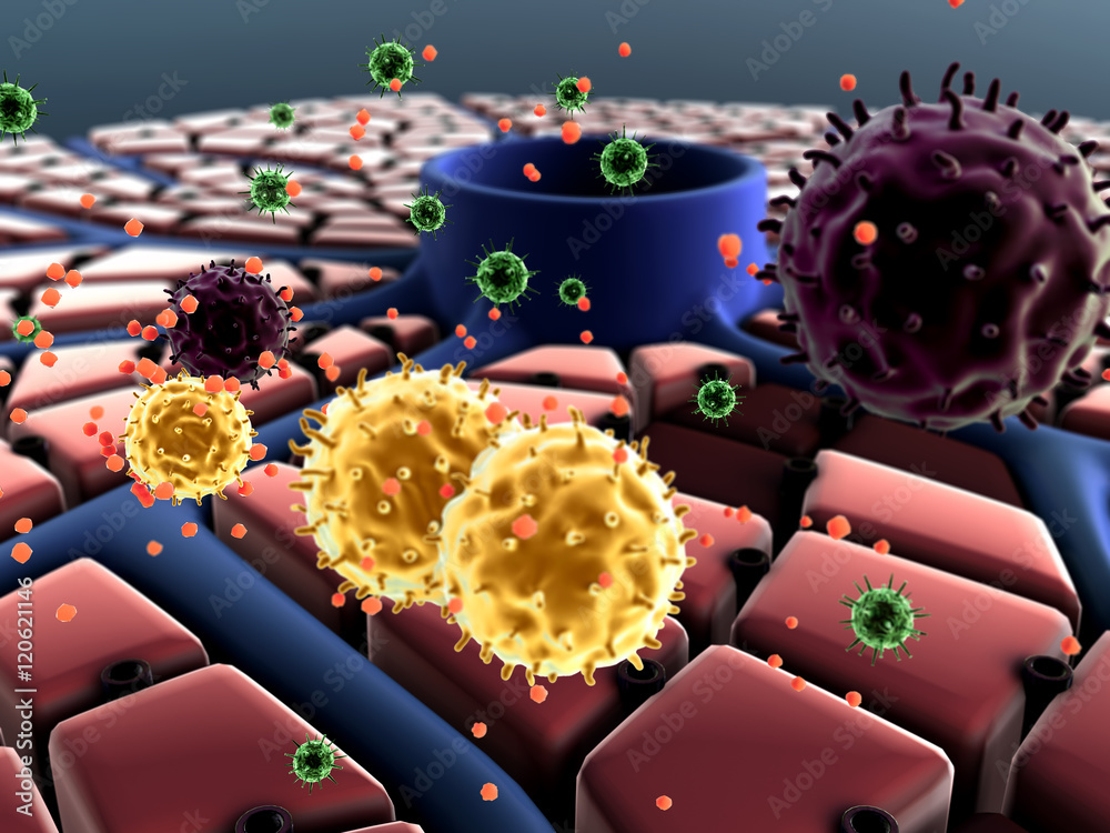 liver and viruses, liver surface, liver cells, liver disease, liver ...