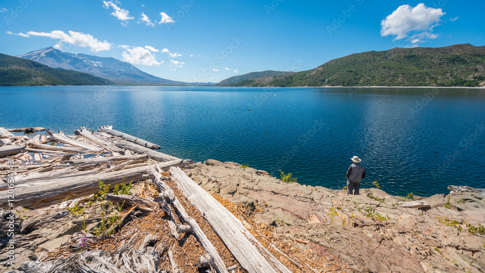 View on the crater of a volcano. Beautiful blue lake. Fallen logs in a ...