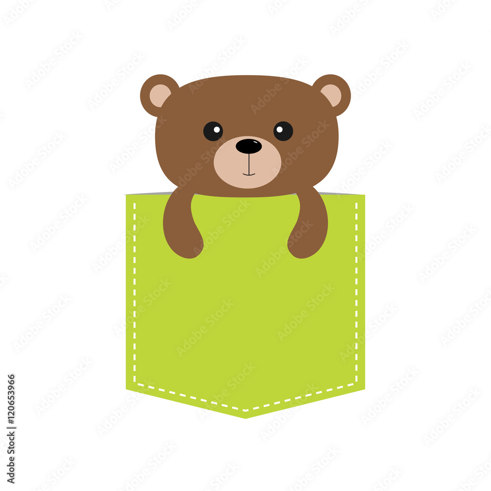 Line Characters Bear