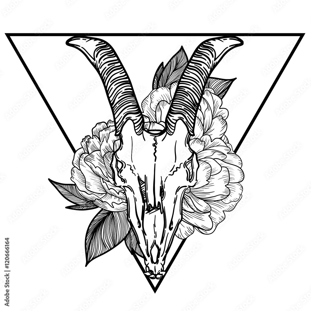 goat skull vector illustration. occult symbol. goat devilish magical ...