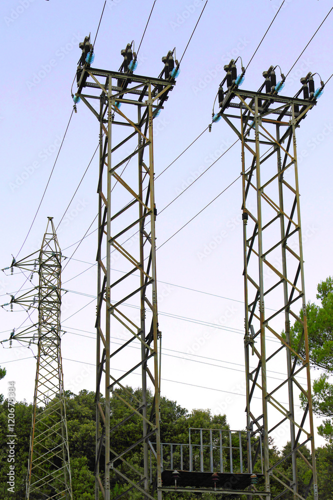 postes electricos para suministrar electricidad en el bosque con ...