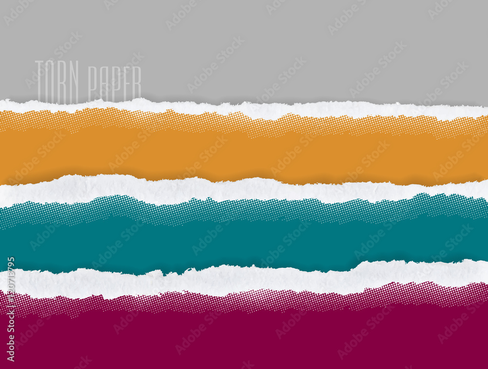Set of torn paper, vector. Graphic resources design template Stock ...
