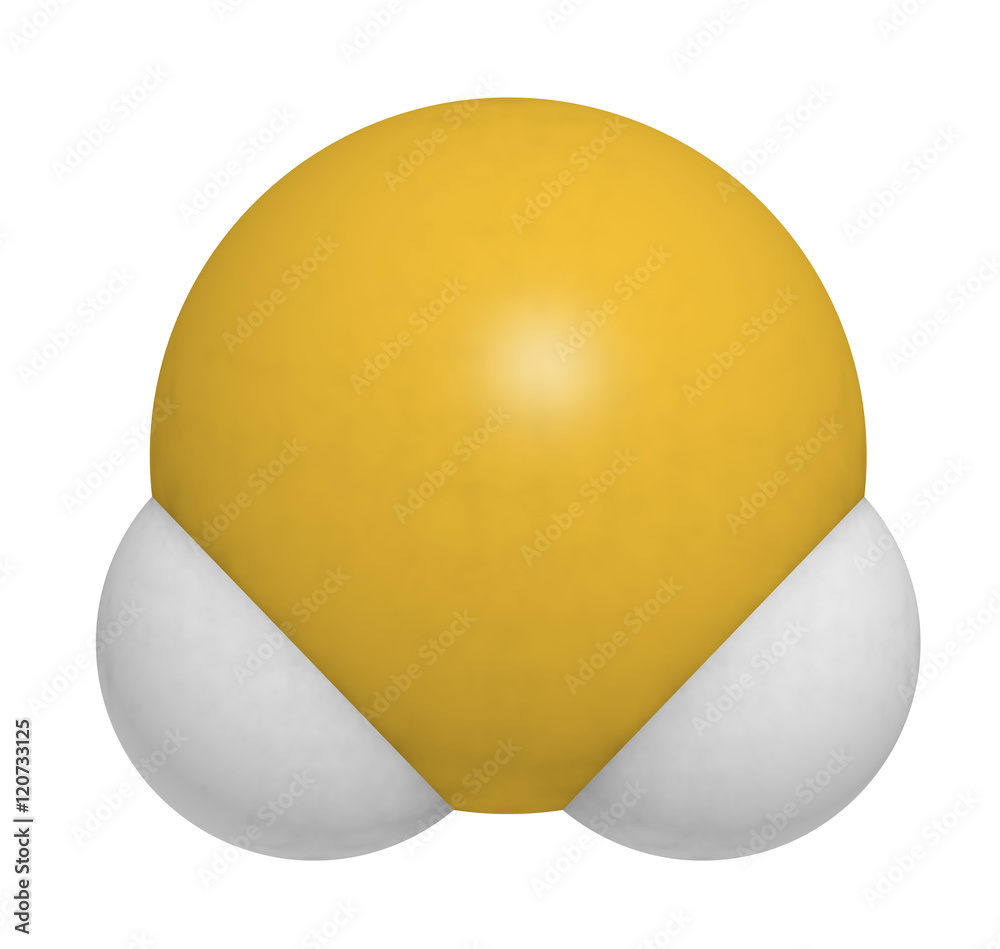 Hydrogen Sulfide Molecule