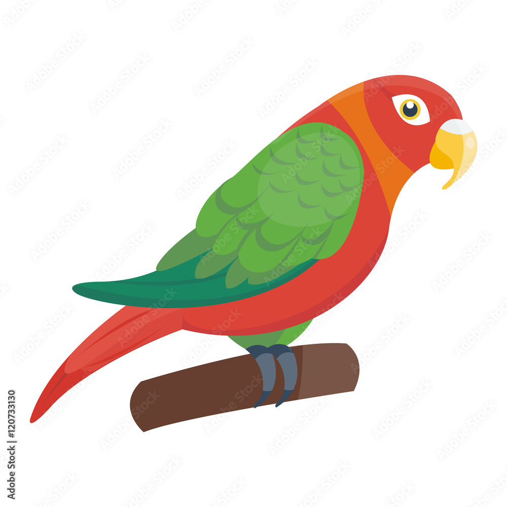 Cartoon parrot wild animal bird. Tropical parrot feather zoo bird ...