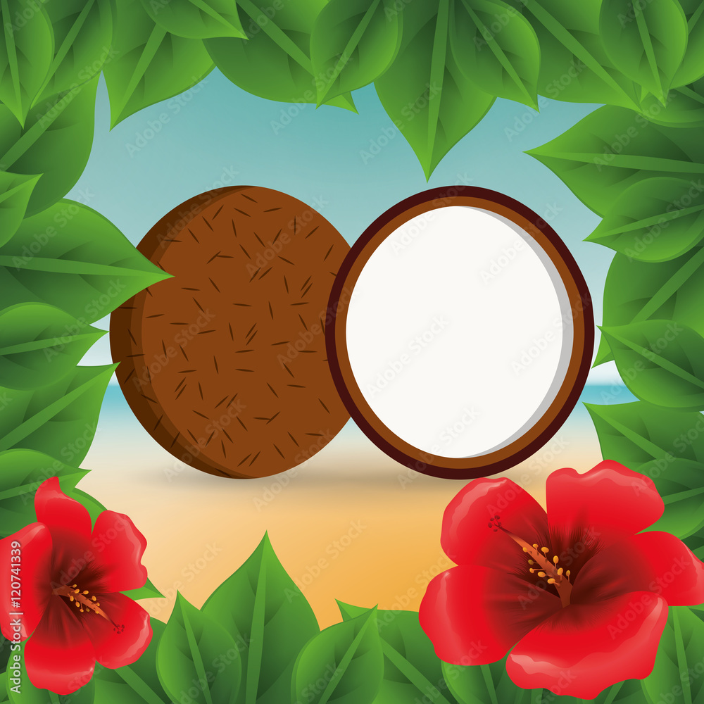 Coconut leaf and flower icon. Fruits summer healthy and organic food ...