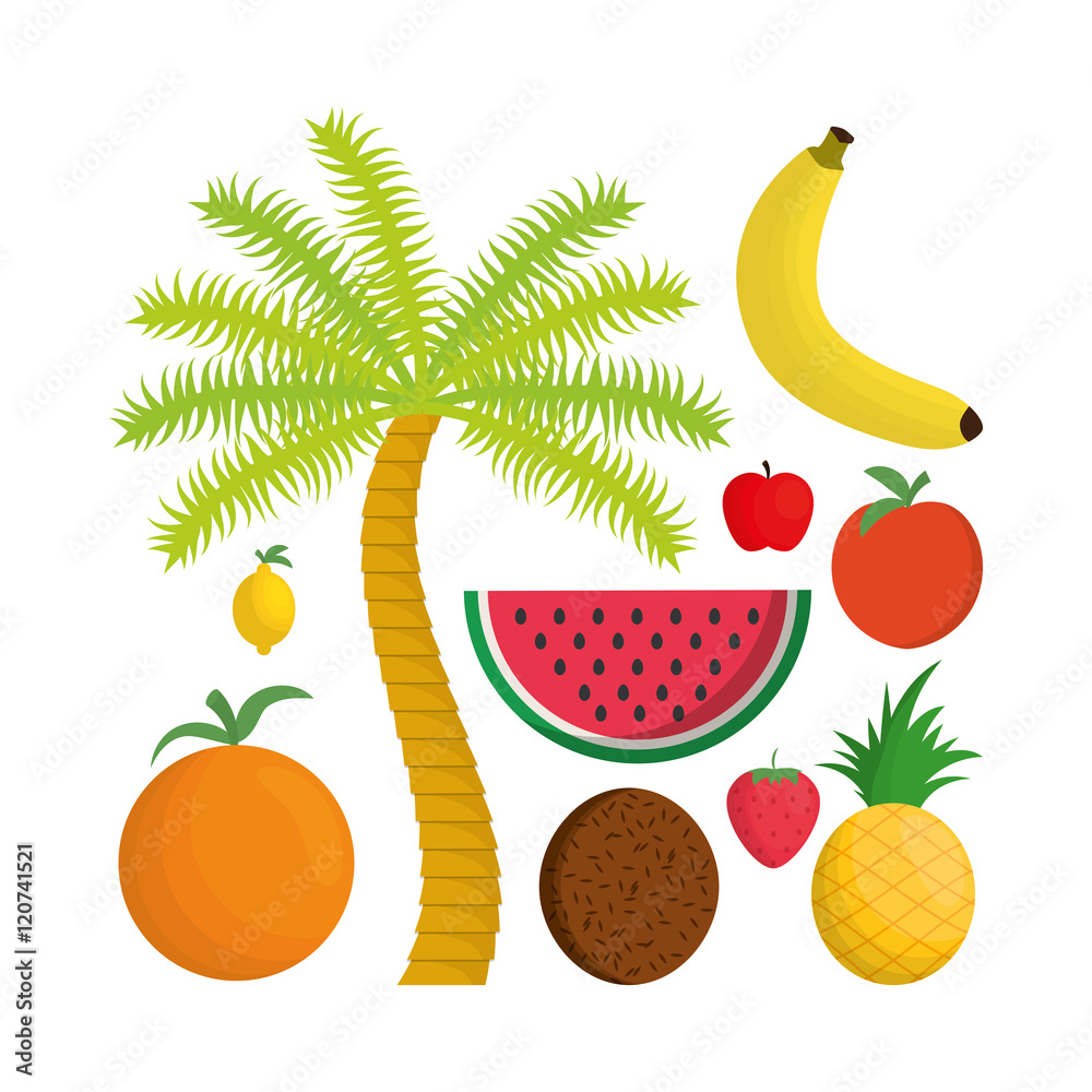 Coconut strawberry pineapple apple watermelon banana orange lemon and ...