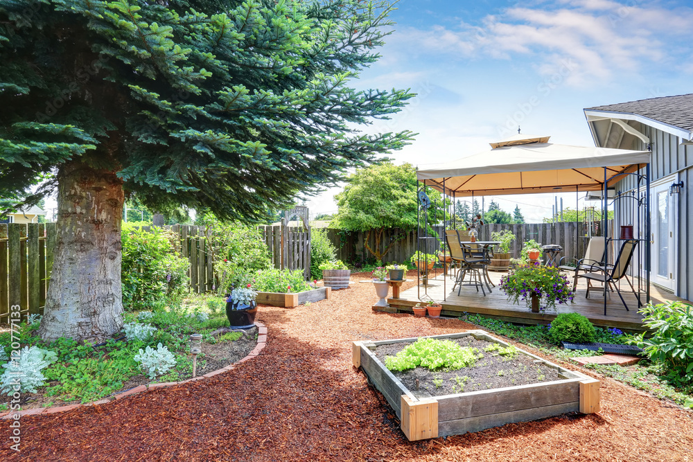Small garden beds at the backyard. Stock Photo | Adobe Stock