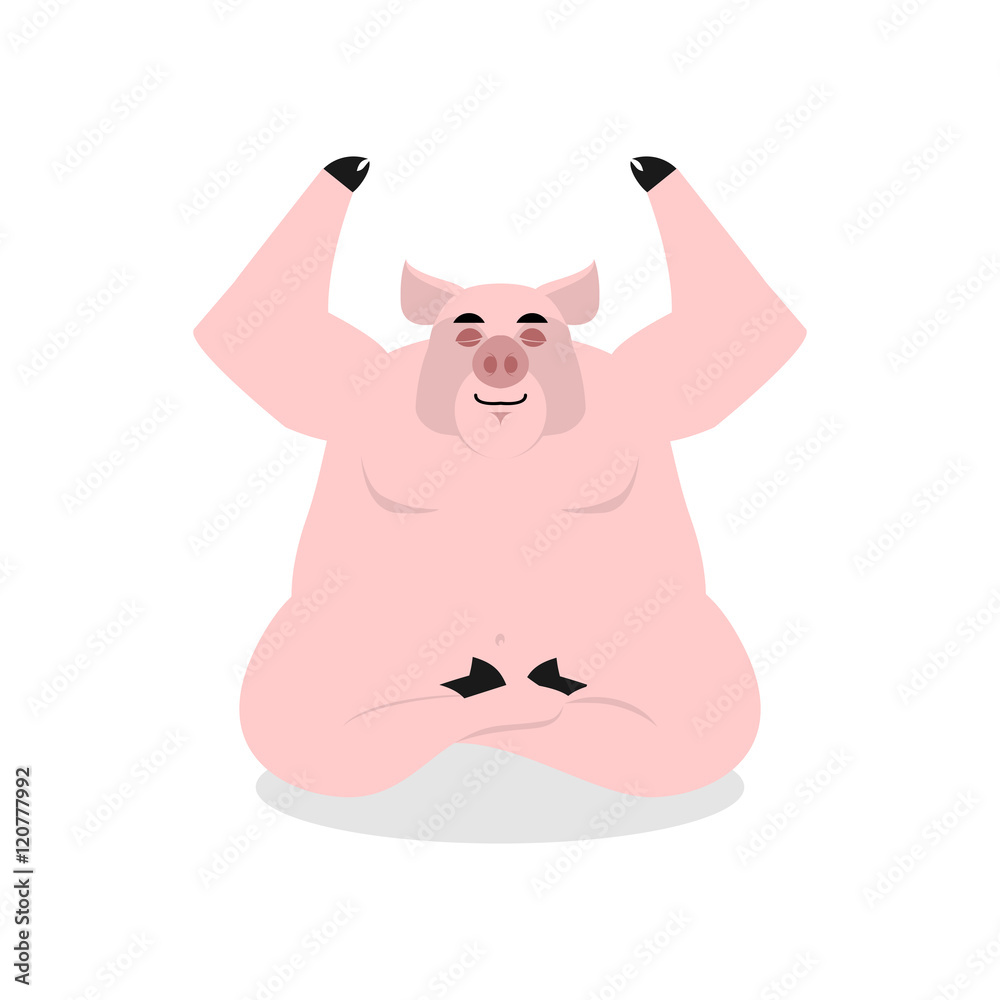 Pig yoga. Animal meditating. Farm animal on white background. Co Stock ...