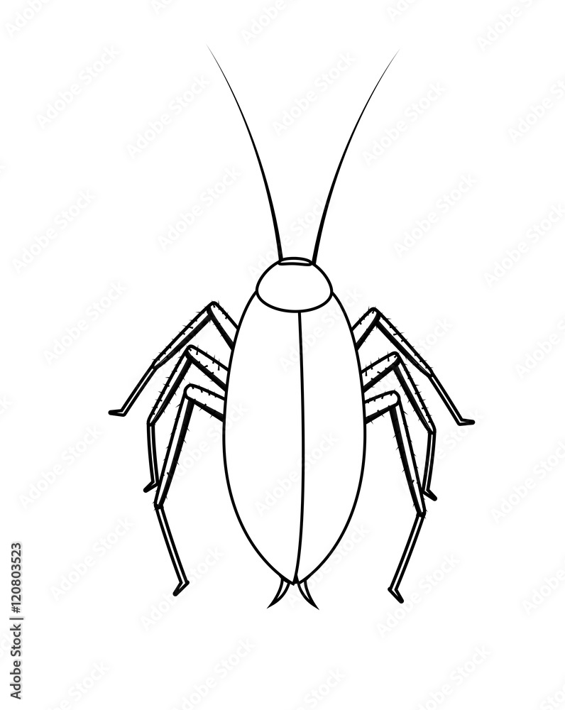 Drawing Art of Cockroach Insect Stock Vector | Adobe Stock