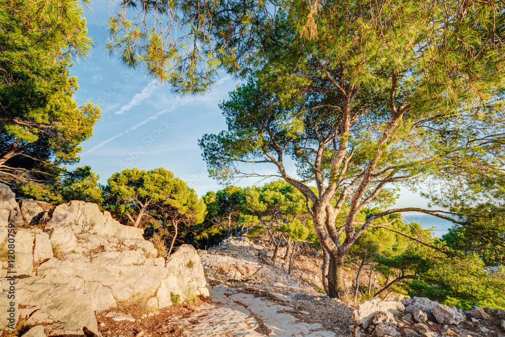 Nature Of Calanques On The Azure Coast Of France. Calanques Stock Photo ...