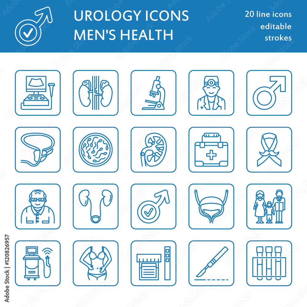 Modern vector line icons of urology. Elements - urologist, bladder ...