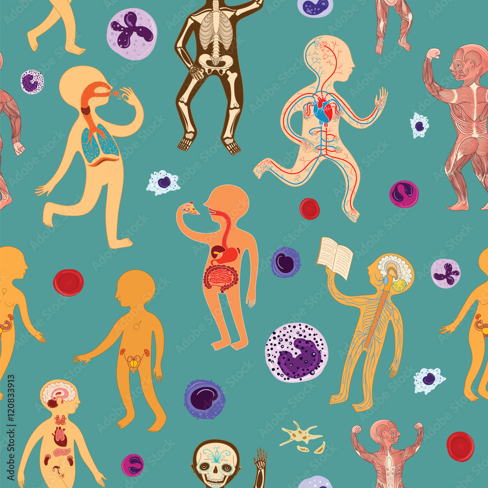 Vector seamless pattern with illustration of human anatomy Stock Vector ...