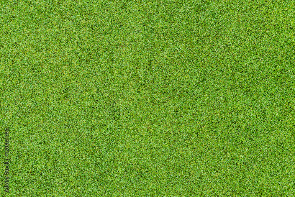 Background and texture of Beautiful green grass pattern from golf ...