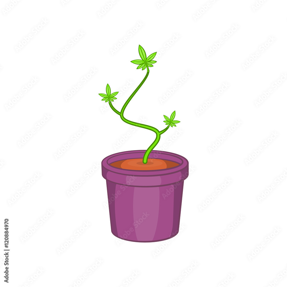 Marijuana or cannabis in flower pot icon in cartoon style isolated on ...