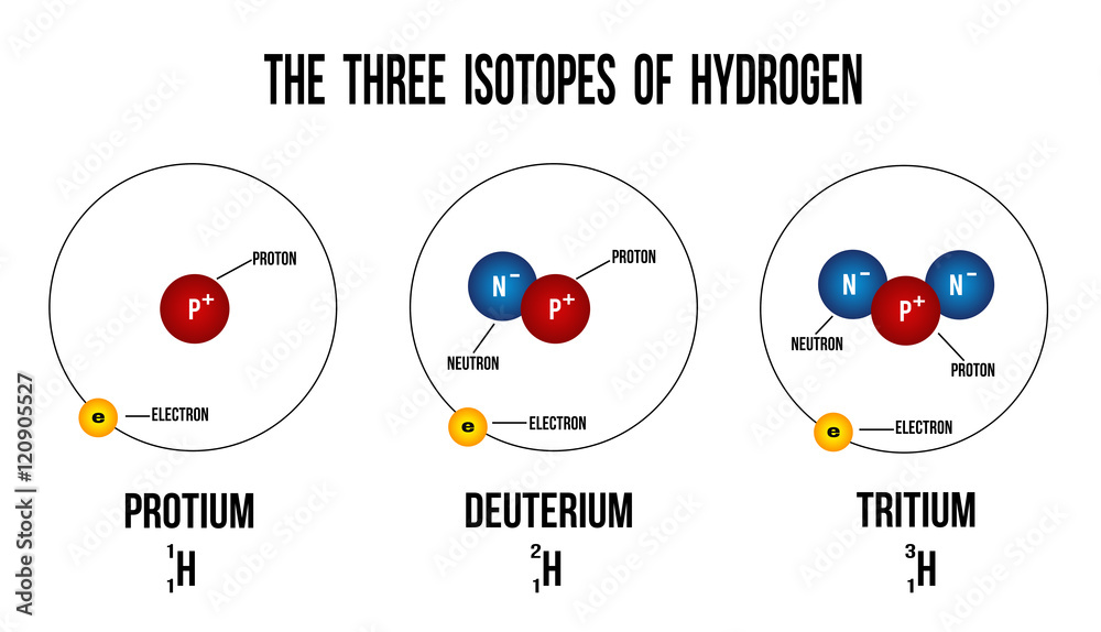 The three isotopes of hydrogen Stock Vector | Adobe Stock