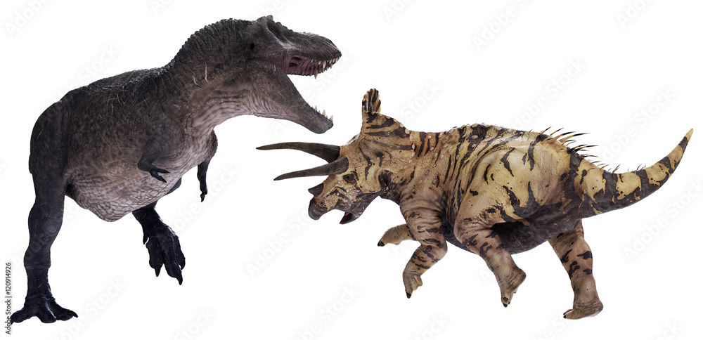 Triceratops Vs Tyrannosaurus Rex