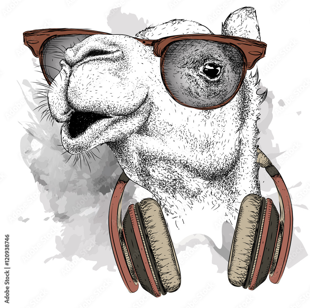 The image of the camel in the glasses, headphones and in hip-hop hat ...