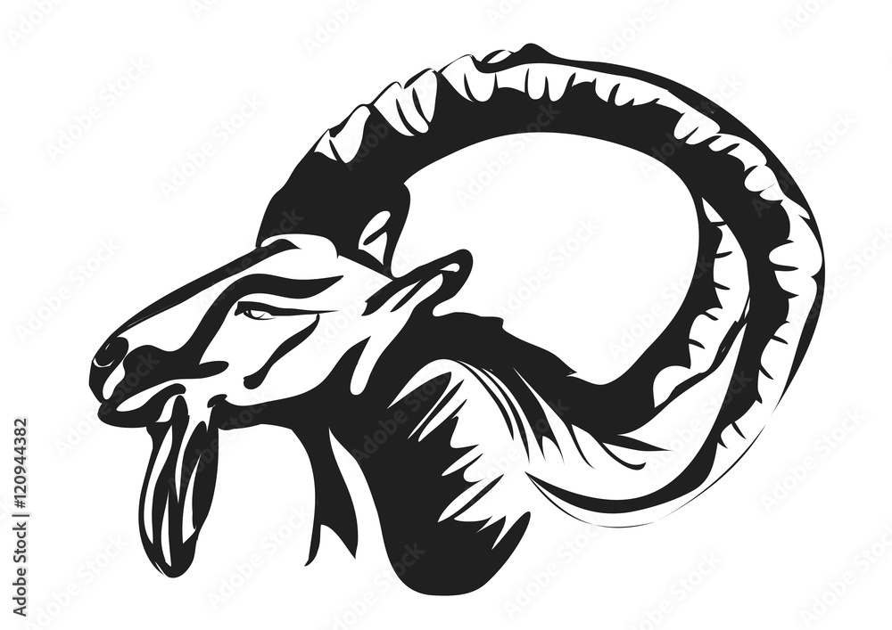 Ibex Stock Vector | Adobe Stock