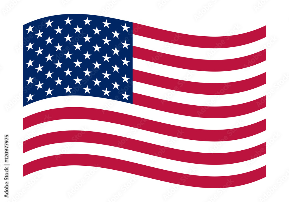 National political official US flag Stock Vector | Adobe Stock