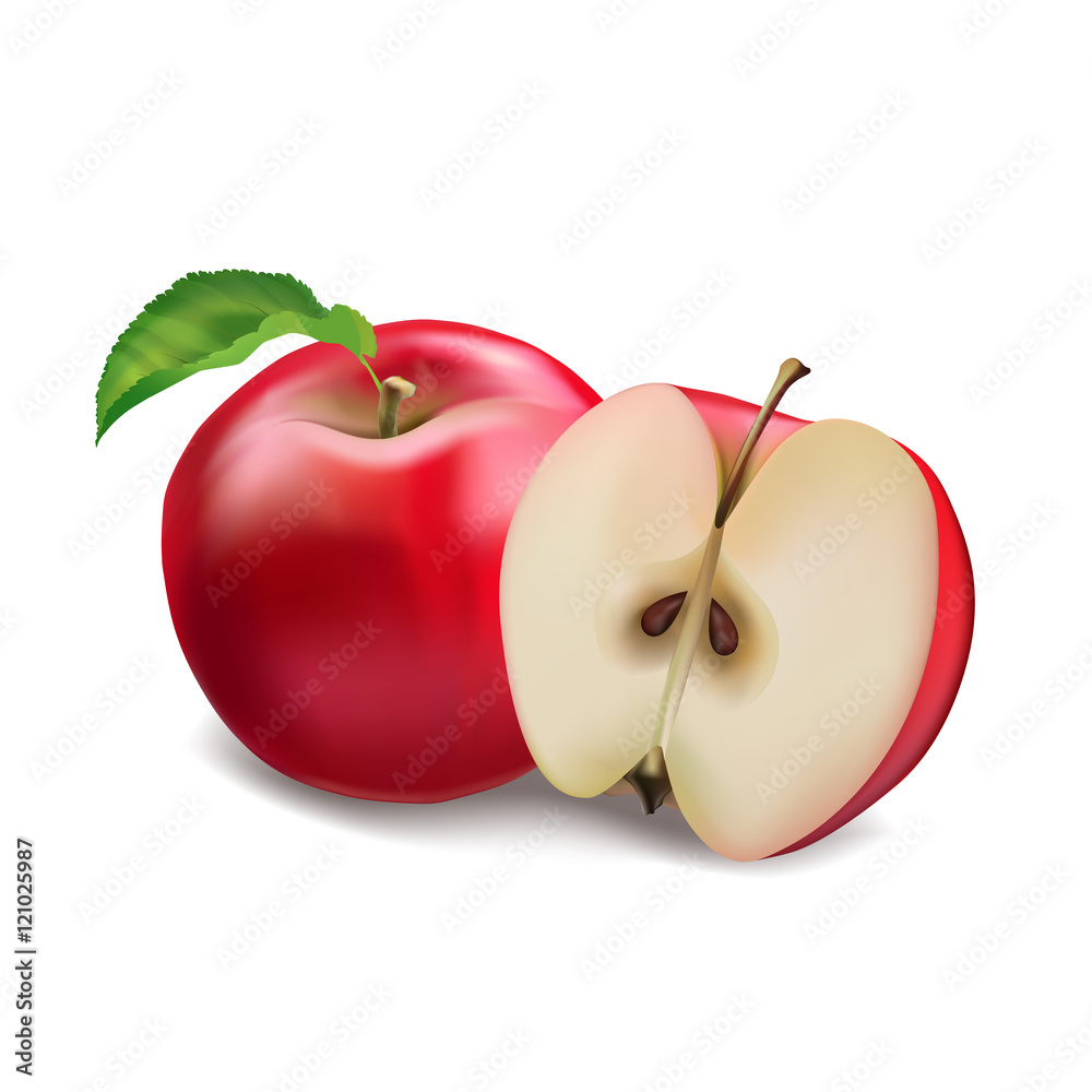 Two apples isolated on white background. Vector illustration. Stock ...