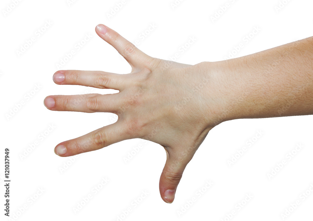 Female caucasian hand gesture of an opened palm isolated over th Stock ...