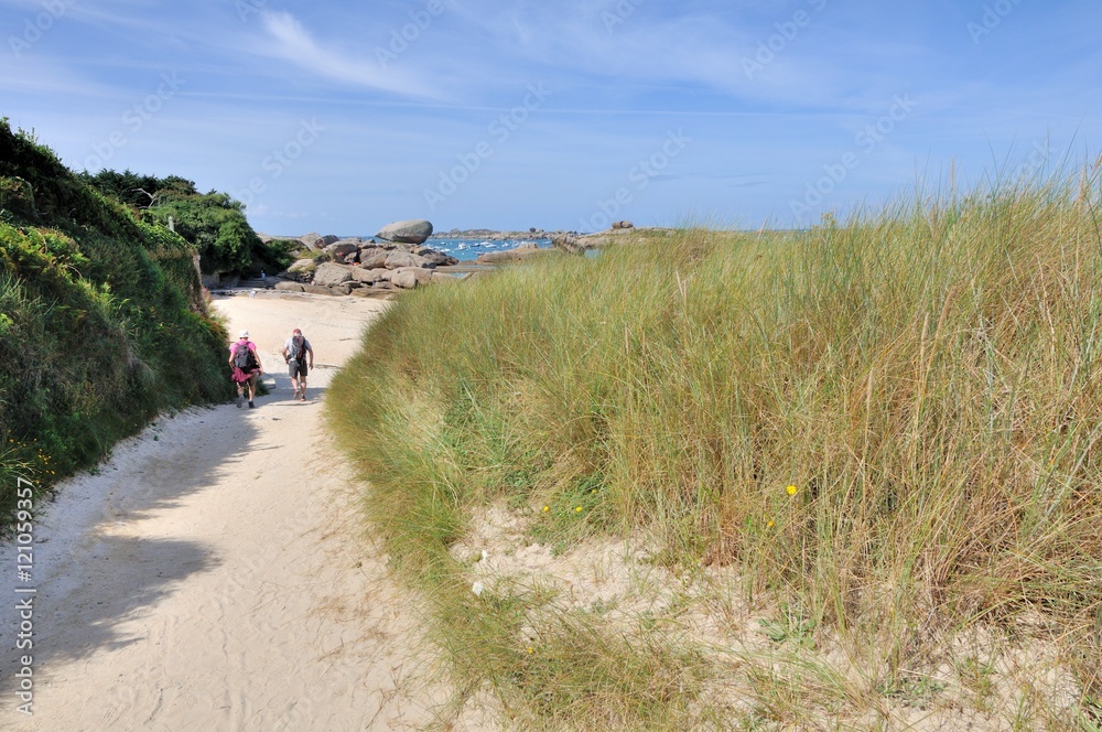 Un couple de randonneurs descent un sentier de dunes vers la plage de ...
