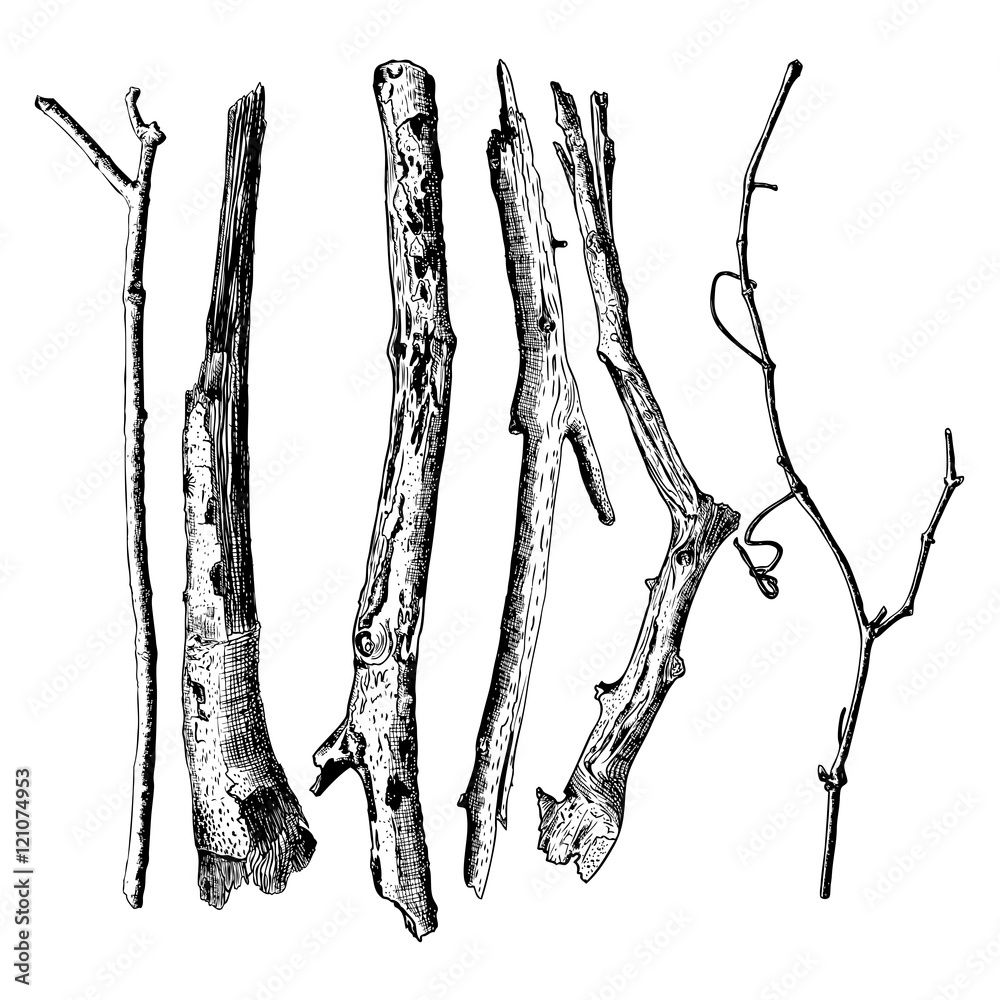 Wood Stick Drawing