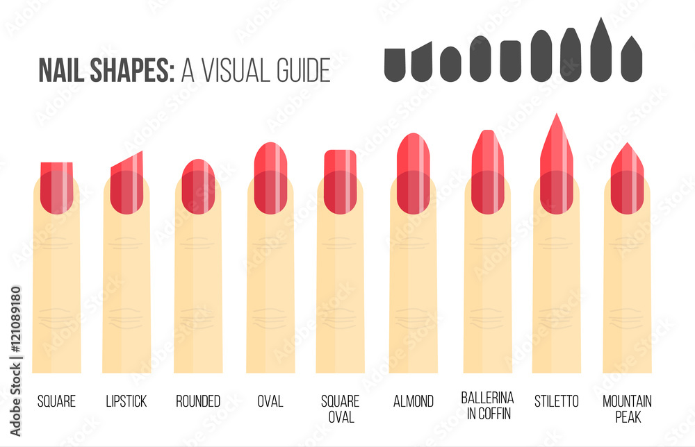 Nail shapes. Visual guide. Stock Vector | Adobe Stock