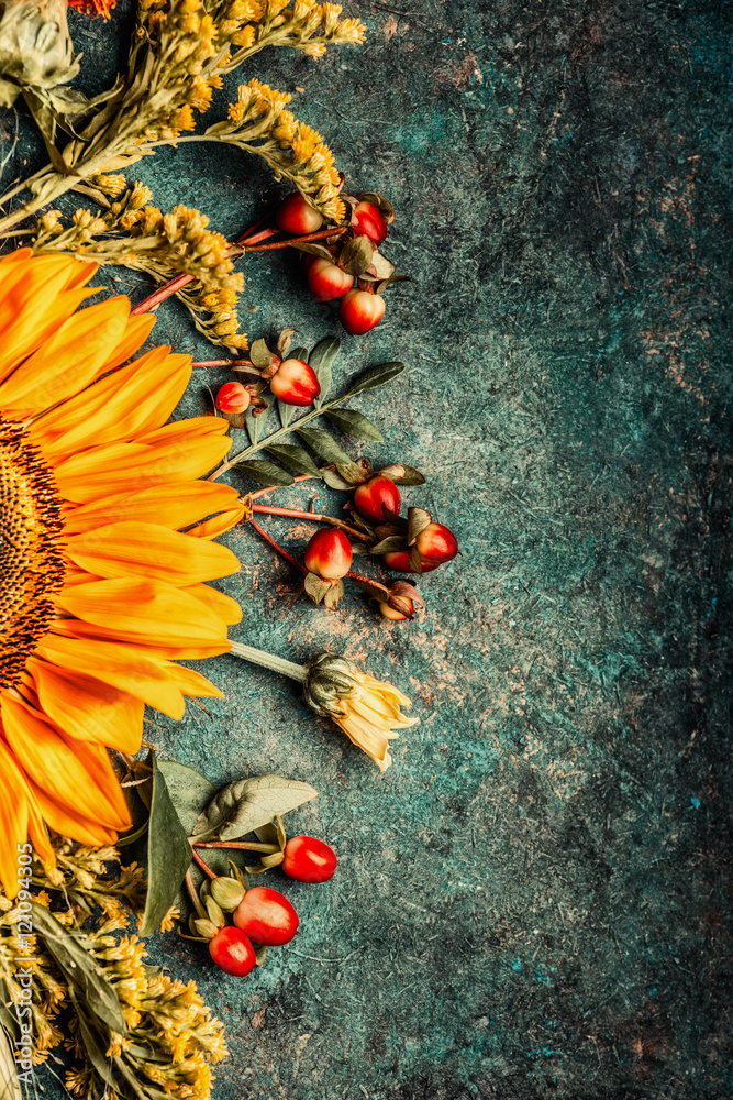 Autumn flowers setting with sunflowers on dark rustic background, top ...