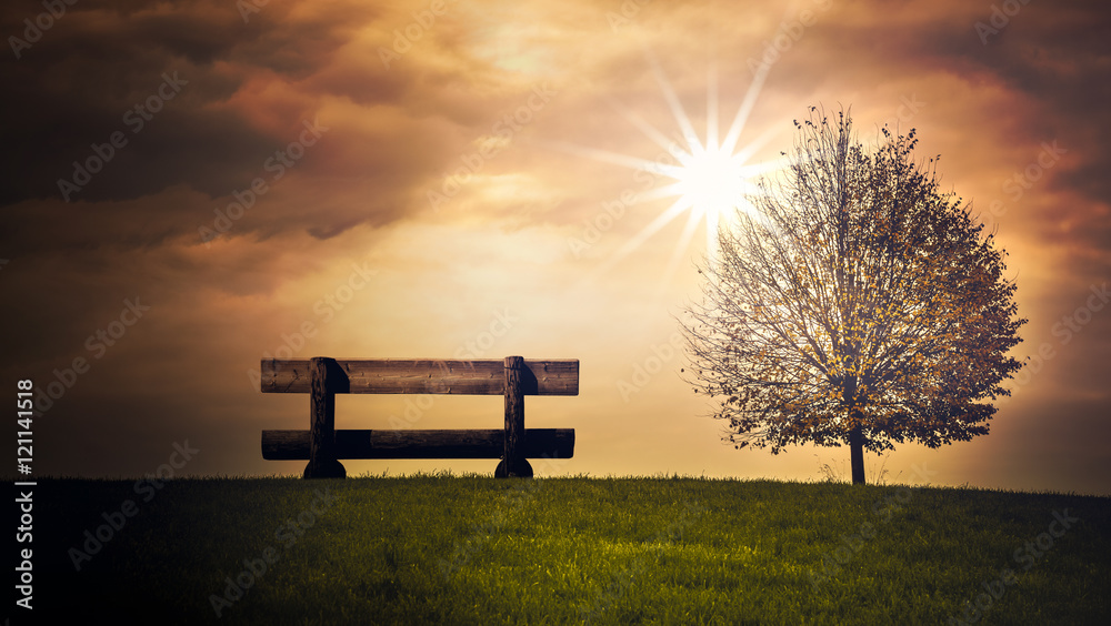 Bank mit Baum im Herbst Stock-Foto | Adobe Stock