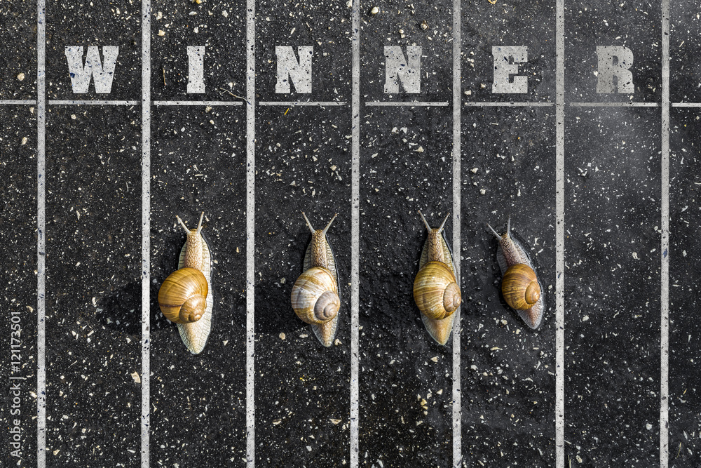Snail run, near the Finish line, Winner sign on the ground, funn Stock ...