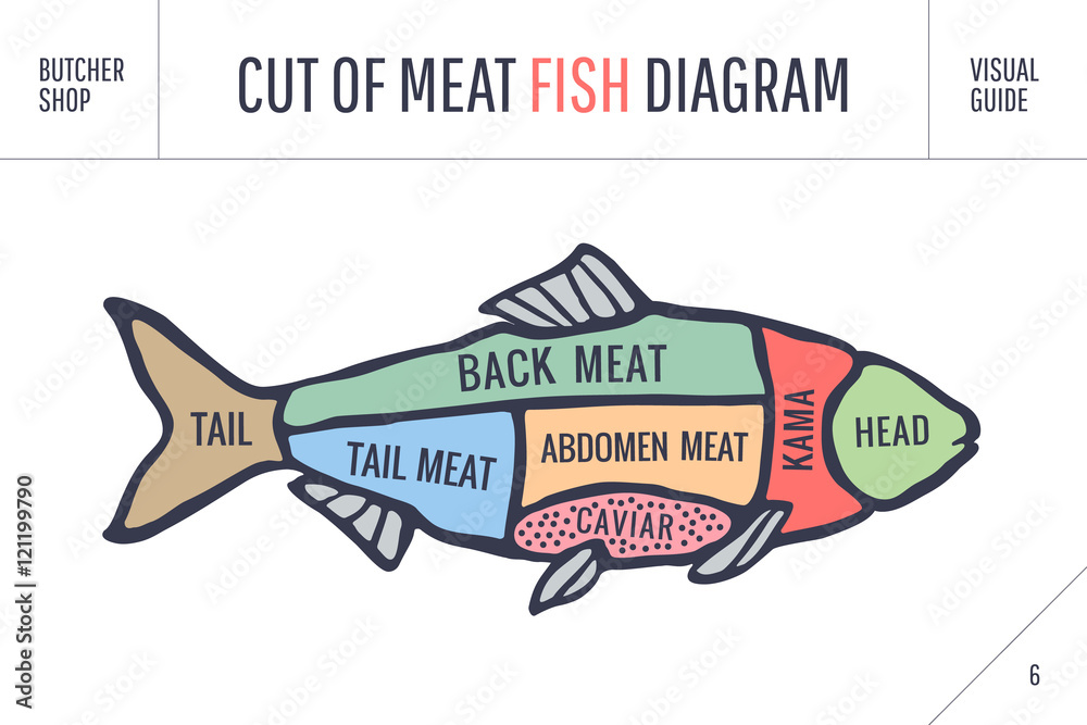 Cut of meat set. Poster Butcher diagram and scheme - Fish. Colorful ...
