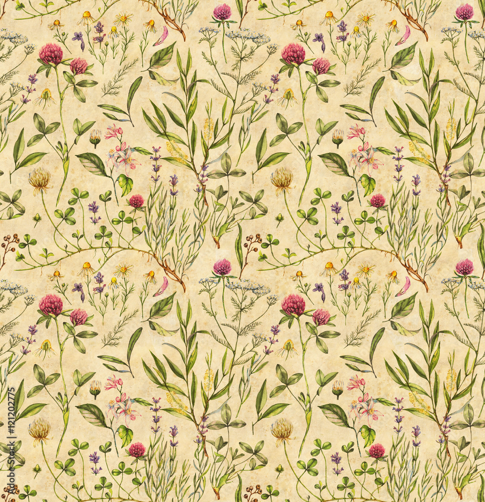 Vintage watercolor seamless botanical pattern with different plants ...