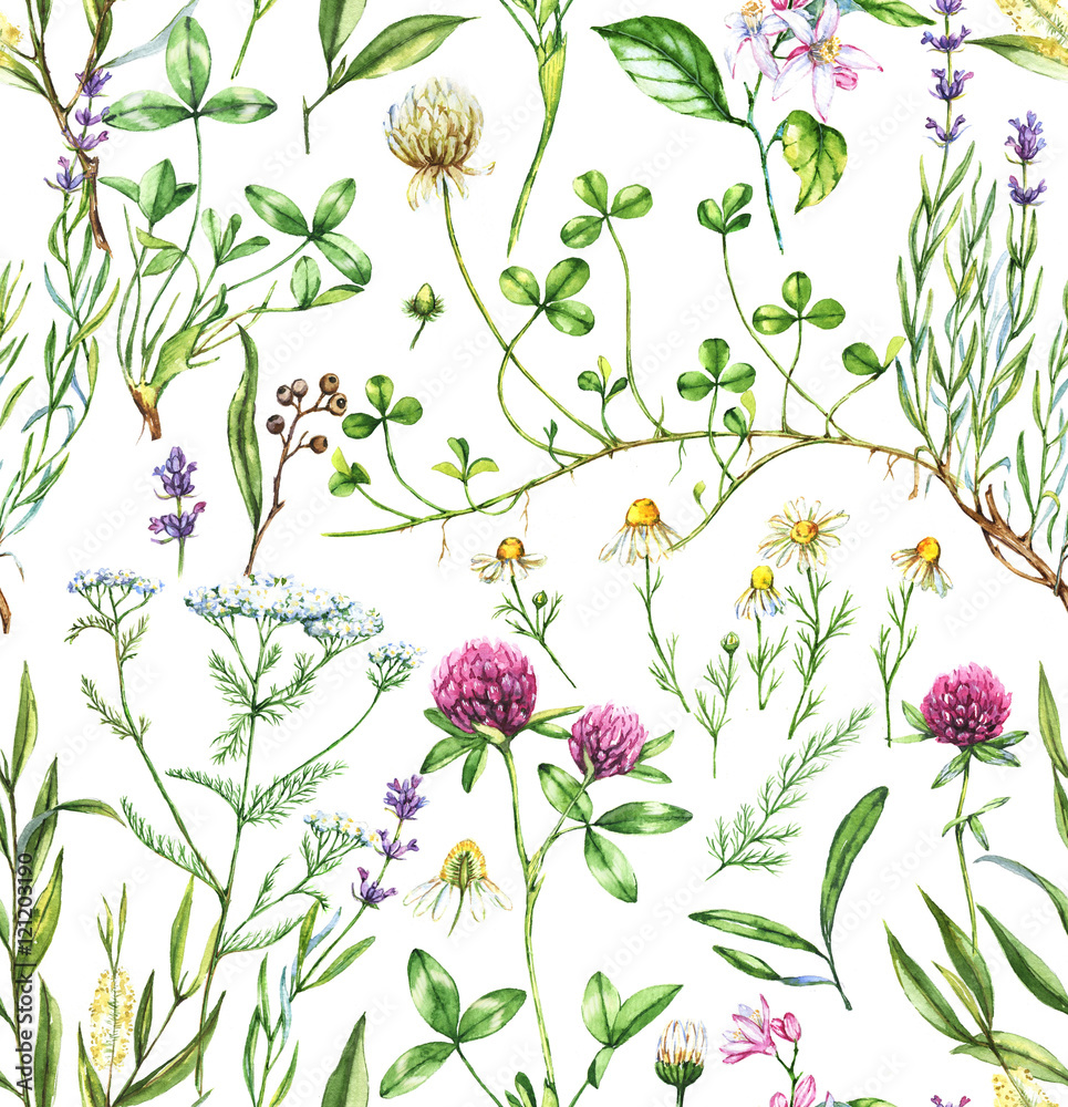 Hand-drawn watercolor seamless botanical pattern with different plants ...