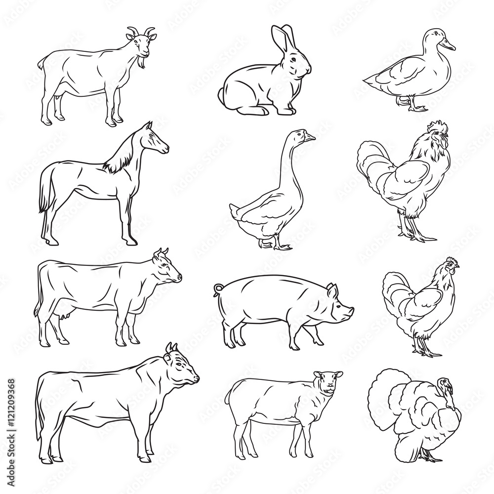farm animals vector collection. Cow, pig, chicken, sheep, goat, Stock ...
