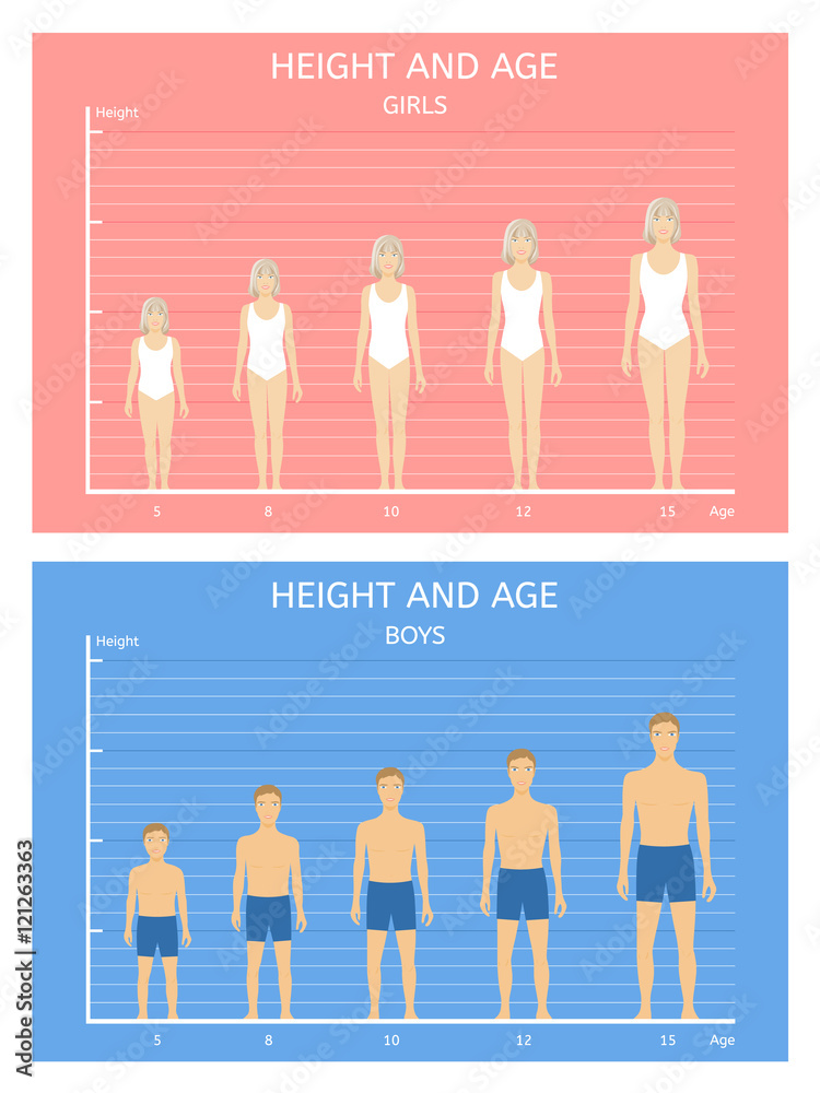 Height and age. Boys and girls from five to fifteen years Stock Vector ...