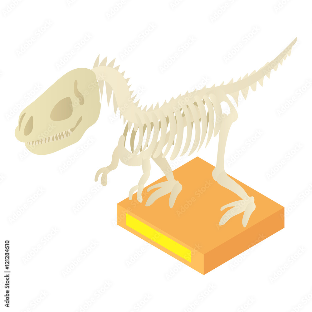 Dinosaur skeleton in archeology museum icon in cartoon style isolated ...